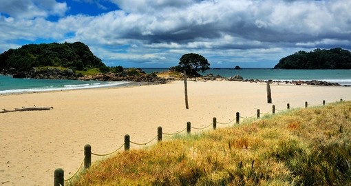 Iconic Northern New Zealand Tour from $2,525 USD - Travel Team